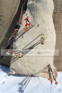 High FOC – one more excuse for missing close hunting shots? | Archery ...