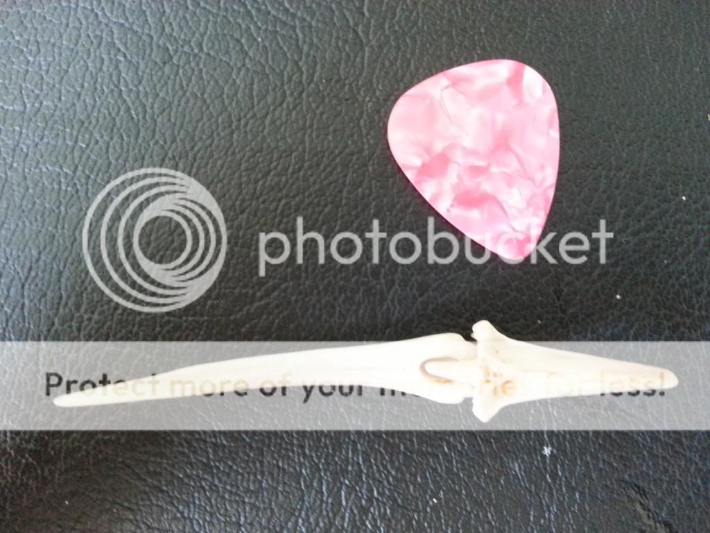 Pinna With Pterygiophore? - Fossil ID - The Fossil Forum