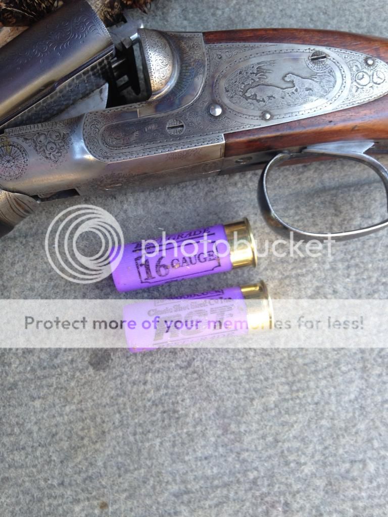 RST shells? | Shotgun Forum