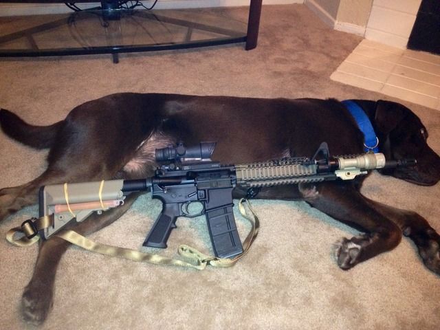 Sopmod Stock With Sling